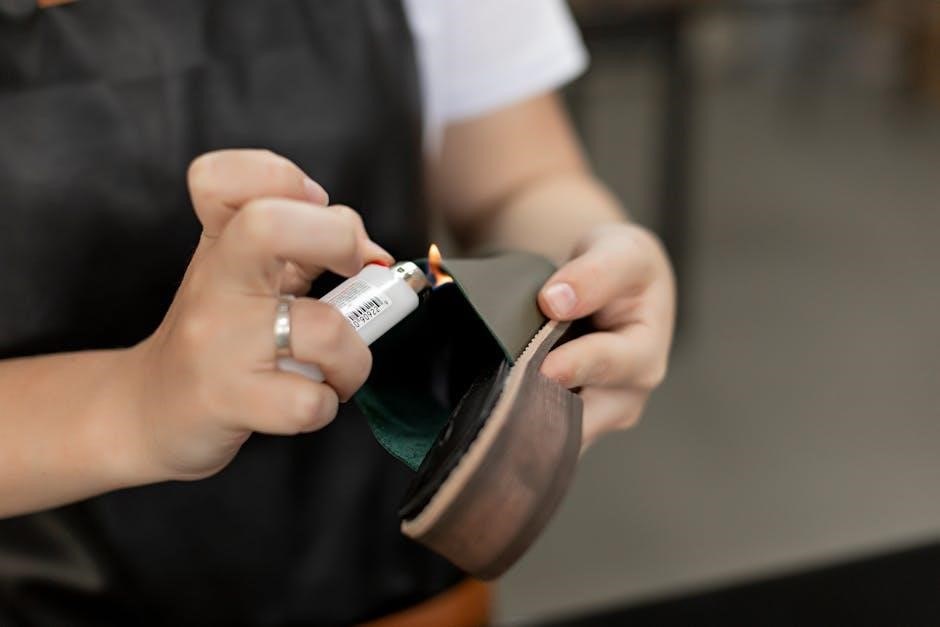 Sole E25 Elliptical: Your Complete User Manual & Guide